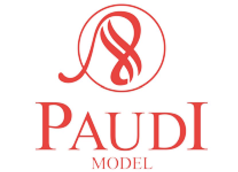 About Us - Paudi Model | High Quality Diecast Model